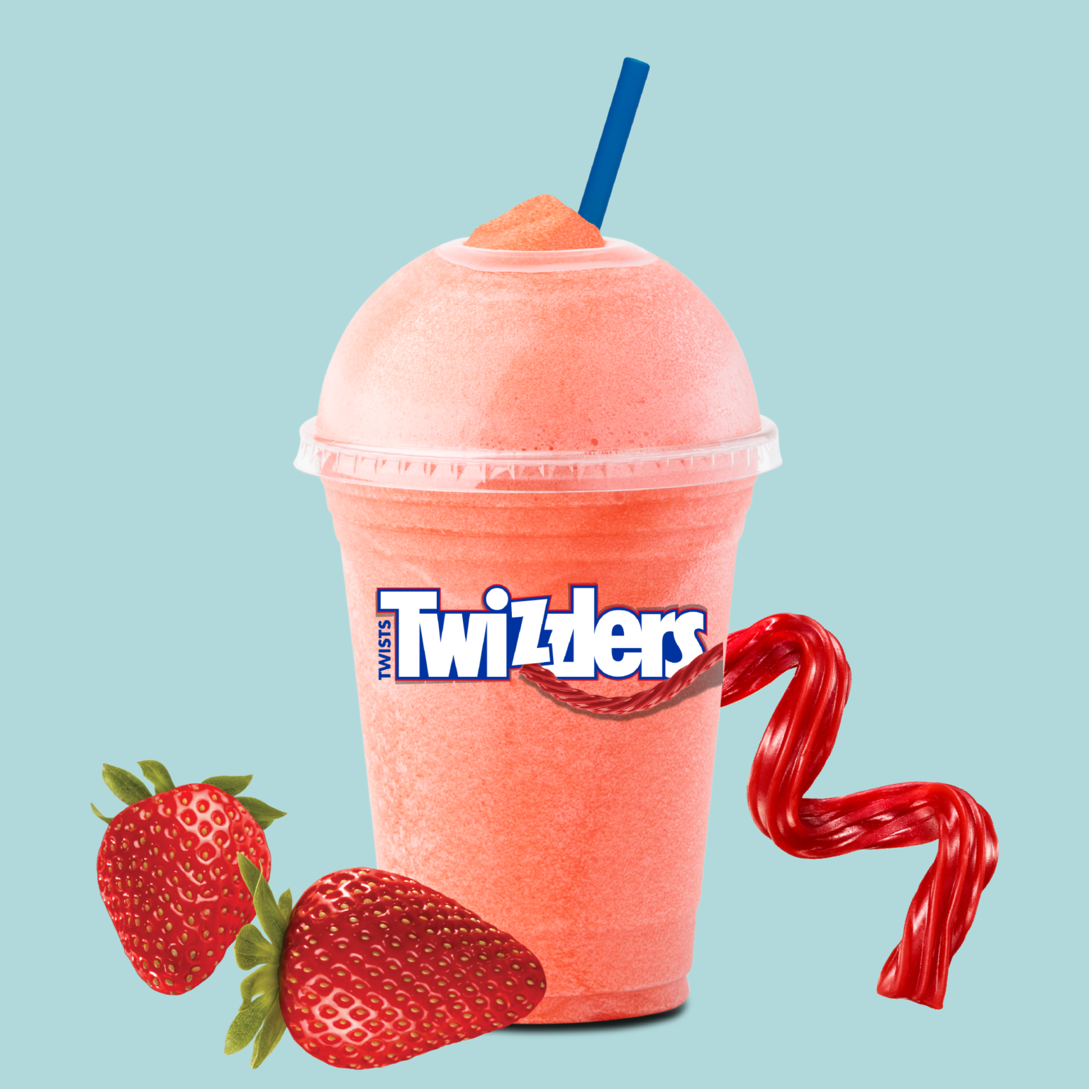 TWIZZLERS - Sunny Sky Products